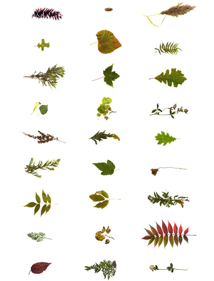 MJMA - Ajax Public Library